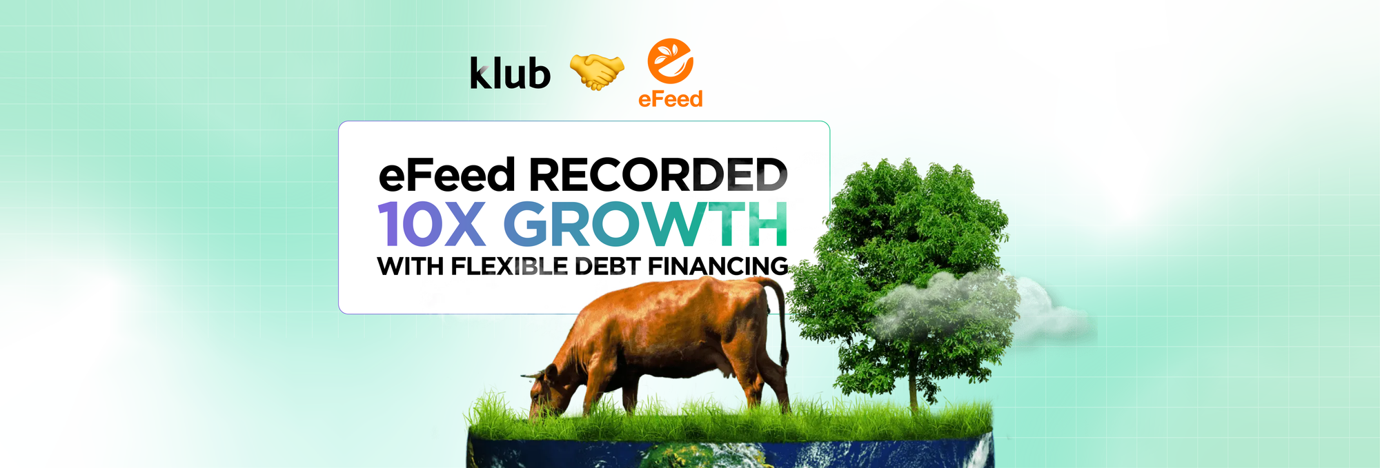 eFeed reports 10x growth in monthly revenue in 2023 and aims to reach ...